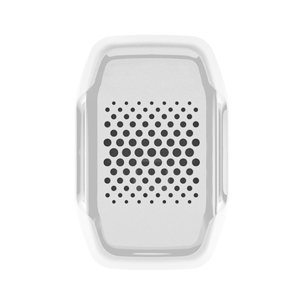 Teal Shores - Intrex